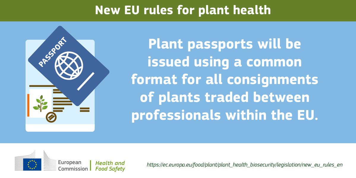 Plant health: Commission and Member States present list which paves the ...